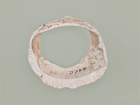 E0115827 貝輪未成品 東京国立博物館 画像検索
