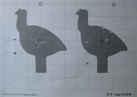 Smallbore Metallic Silhouette The Real Game One Way To Make 1 2