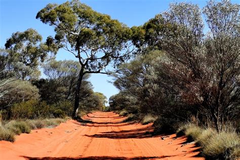 Anne Beadell Highway Part Ii Breaking The Cycle Education
