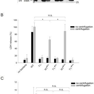 A Western Blot Analysis Of Salmonella Flagellins FliC And FljB And