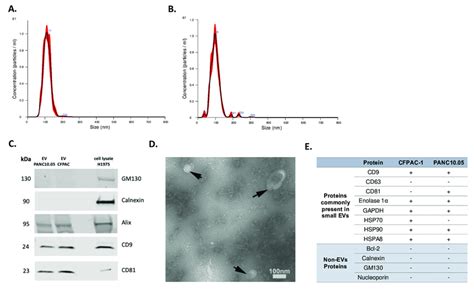 Characterization Of Evs Isolated From Ccms Representative Nta Download Scientific Diagram