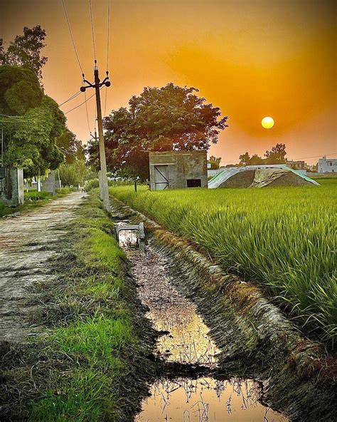 A Beautiful Picture Of My Village In Haryana Rindiatourism