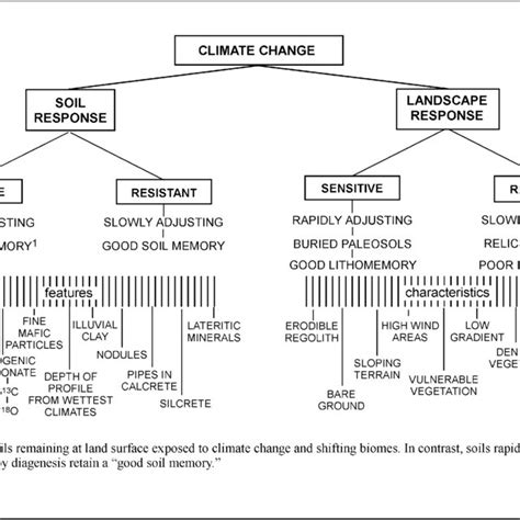 Diagram Showing Features And Characteristics Of Sensitive And