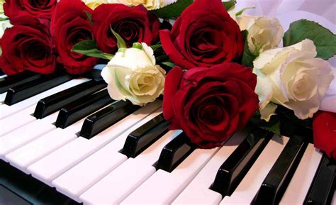 موزیک ارکست