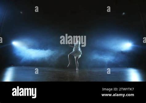 Dramatic Ballet Stock Videos And Footage Hd And 4k Video Clips Alamy