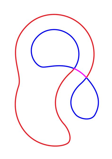 Klein Bottle Graphic Anomalogue Blog