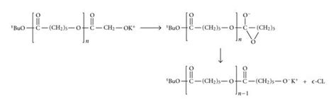 Backbitting Intramolecular Transesterification During Ring Opening