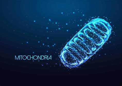 Mitochondria Resources Staying Alive