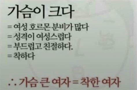 가슴 큰 여자를 좋아하는 이유 에펨코리아