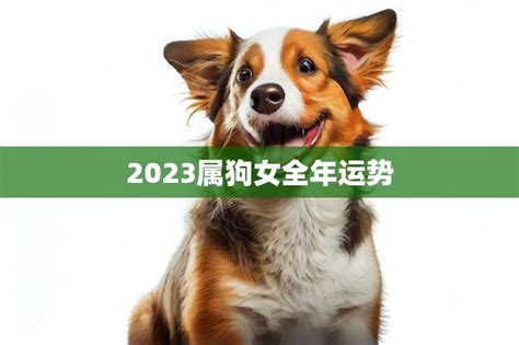 2023属狗女全年运势幸运之年财运亨通 星辰运势