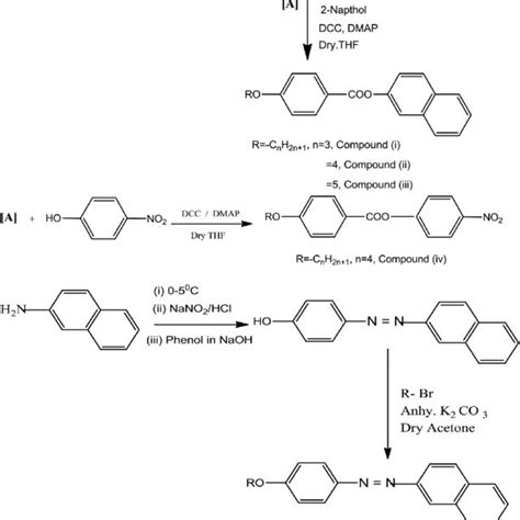 Scheme 1 Synthetic Route To Compound I To Compound Vi Download
