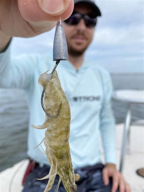 Top 4 Sheepshead Rigs To Catch Sheepshead In Every Condition