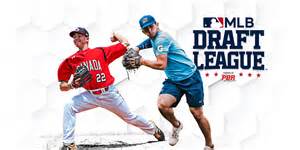 Mlb Draft League First Year Success