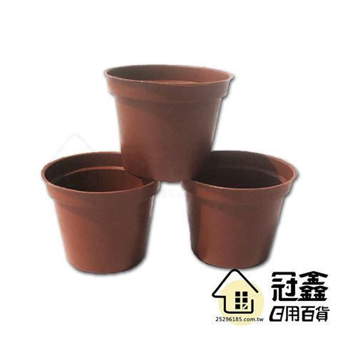 3吋盆批發的價格推薦 2023年2月 比價比個夠BigGo