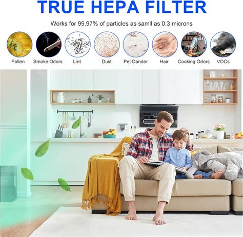 HODSEUKIN Paquete De 2 Filtros HEPA De Repuesto Compatibles Con Afloia