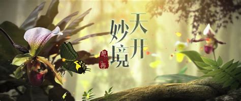 广西形象宣传片相约广西点这里在山水间在美食中在民歌里在八桂等你 搜狐大视野 搜狐新闻