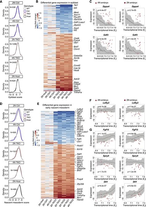 The Intrinsic And Extrinsic Effects Of Tet Proteins During Gastrulation