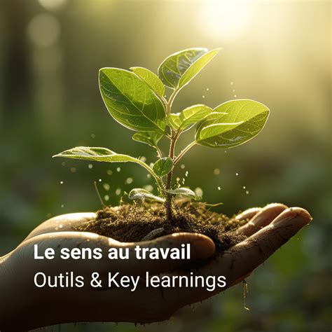 Webinaire Le sens au travail Outils EcoLab World Café HR Vaud