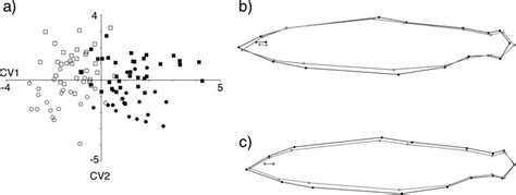 A Scores For Morphological Canonical Variates 1 And 2 By Depth And