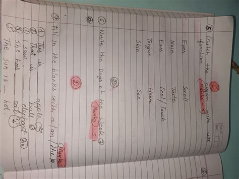 Match The Organ With Its Function Eyes Nose Ear Tongue S