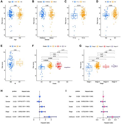 Integrated Single Cell And Bulk Rna Sequencing Revealed The Molecular