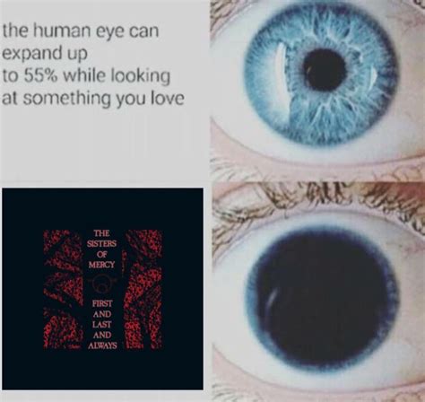 Some Low Effort Memes For Yall Rgothmemes