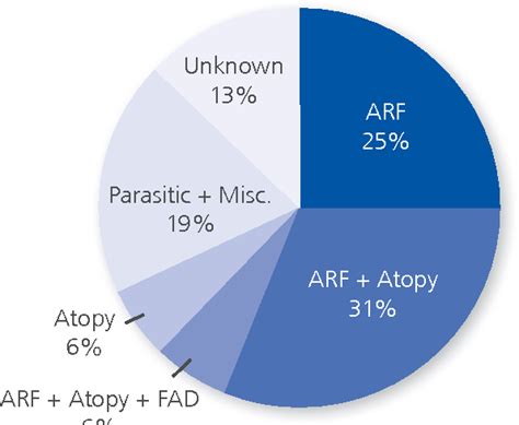 Figure 1 From Multimodal Management Of Feline Allergic Dermatitis Bad