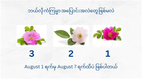 ဘယ်လို ကံကြမ္မာ အပြောင်းအလဲတွေ ဖြစ်မလဲ August 1 7 Tarot