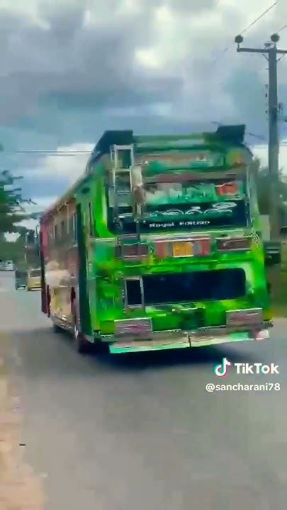 සියනෑ චාරිකා කරණයේ උන්මාදය සංචරණී Royal Edition ️ Automobile Busworld Bussid Short Fans