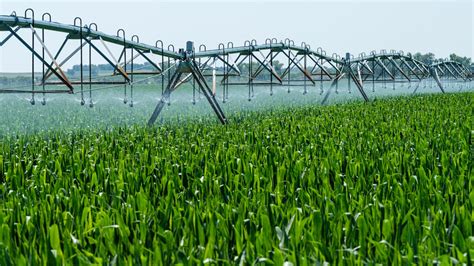 2024 Guide Average Cost To Install Irrigation System