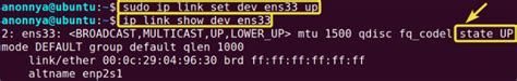 The Ip Command In Linux Practical Examples Linuxsimply