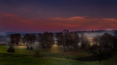 Hintergrundbilder Sonnenlicht Bäume Landschaft Fallen