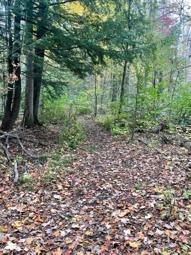 Best Hikes And Trails In Monaghan Forest Park Alltrails