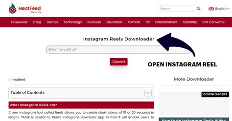 How To Download Instagram Reels For Pc