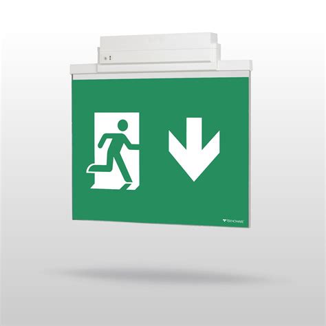 Esc 81 Led Emergency Exit Light Y8153wm165 Teknoware