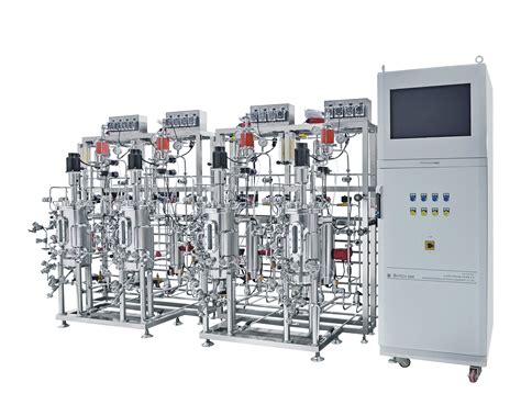 Four Station Stainless Steel Parallel Fermentation Tankstainless Steel