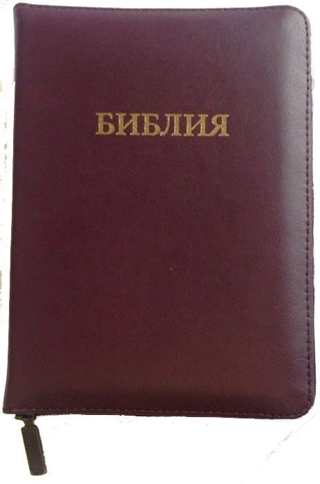 Купить Библию В Интернет Магазине Недорого — Sskidki.ru