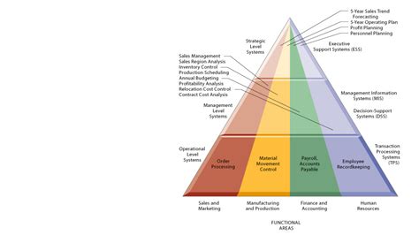 Solved Describe The Role Of A TPS MIS DSS And EIS In A Service Course Hero