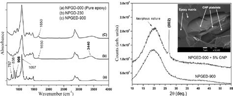 Ftir Spectrum Of Amine Modified Download Scientific Diagram