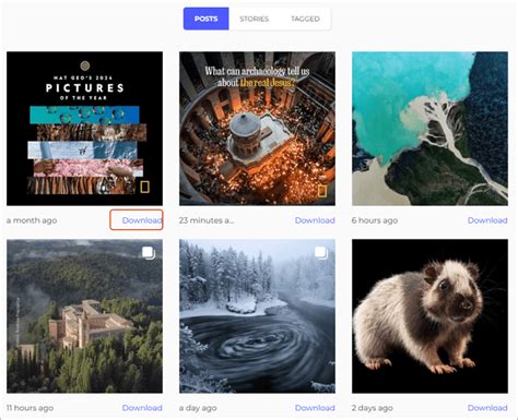 Revisión De Imginn Y Sus 3 Mejores Alternativas