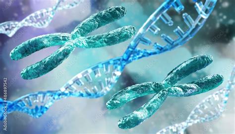 Chromosome X Chromosome Human Gene Heredity Chromosome On A Blurred