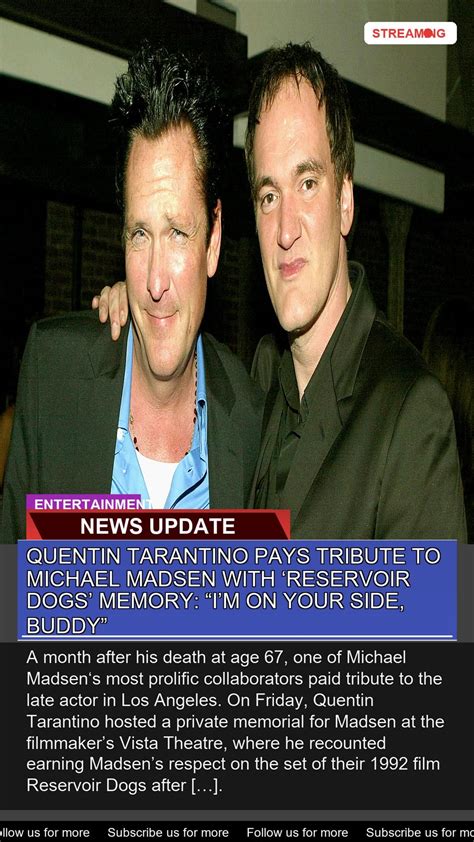 Quentin Tarantino Pays Tribute To Michael Madsen One News Page Video