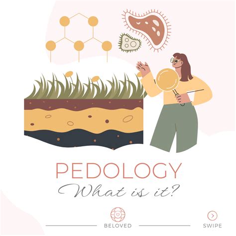 Pedology Soil Formation Layers Properties And Management Insight