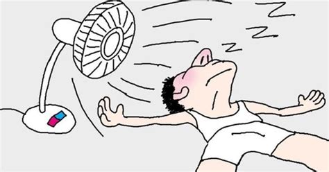 불볕더위마다 주목받지만폭염 수혜주 롤러코스터 주의보