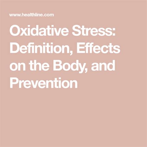 Oxidative Stress Definition Effects On The Body And Prevention