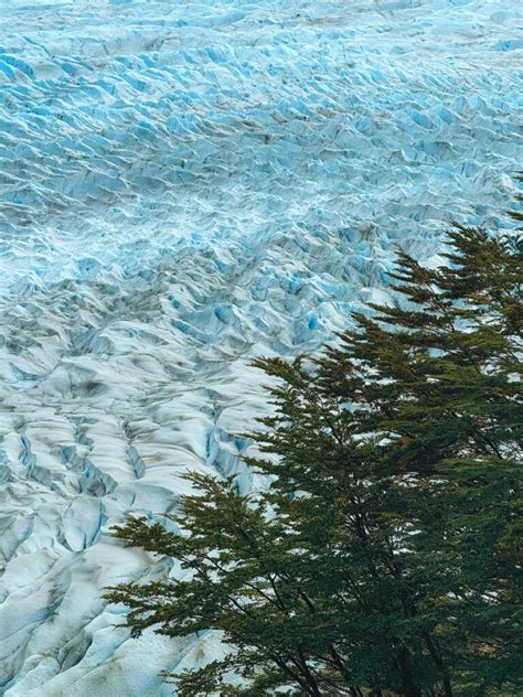 How To Get Rid Of White Flakes In Ice Cubes