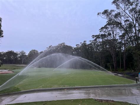 Aaron Cachia On Linkedin 6 Weeks Post Seeding And We Are Going Pretty Well A Couple Small Areas…