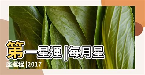 第一星運 每月星座運程 2017年獅子座每月運勢 【獅子座2017年每月】 Mirrort 風水網