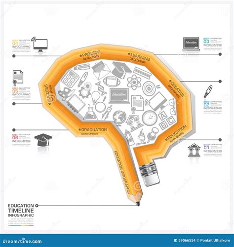 Brain Shape Education And Learning With Pencil Timeline Infograp Stock