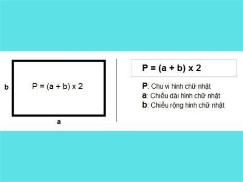 Công thức tính Chu Vi Diện Tích hình chữ nhật Lớp 3 2023